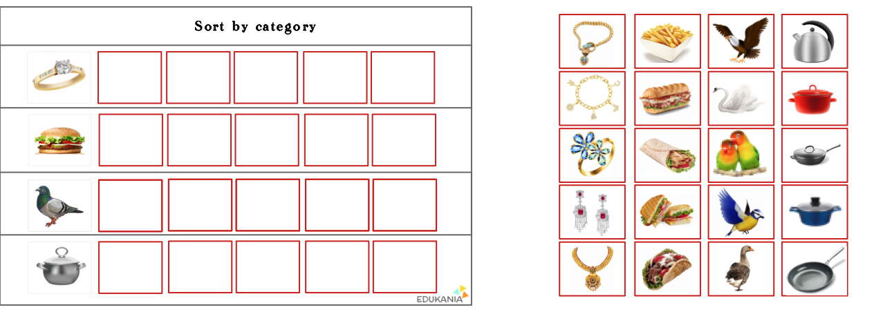 Sorting Categories For Advanced Students