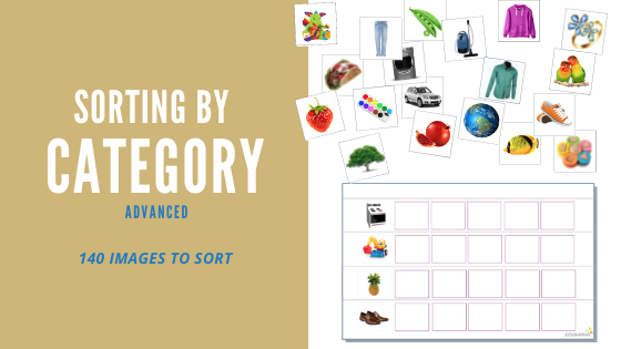 Sorting Categories For Advanced Students